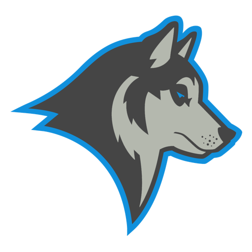 SAE-12 – College Football